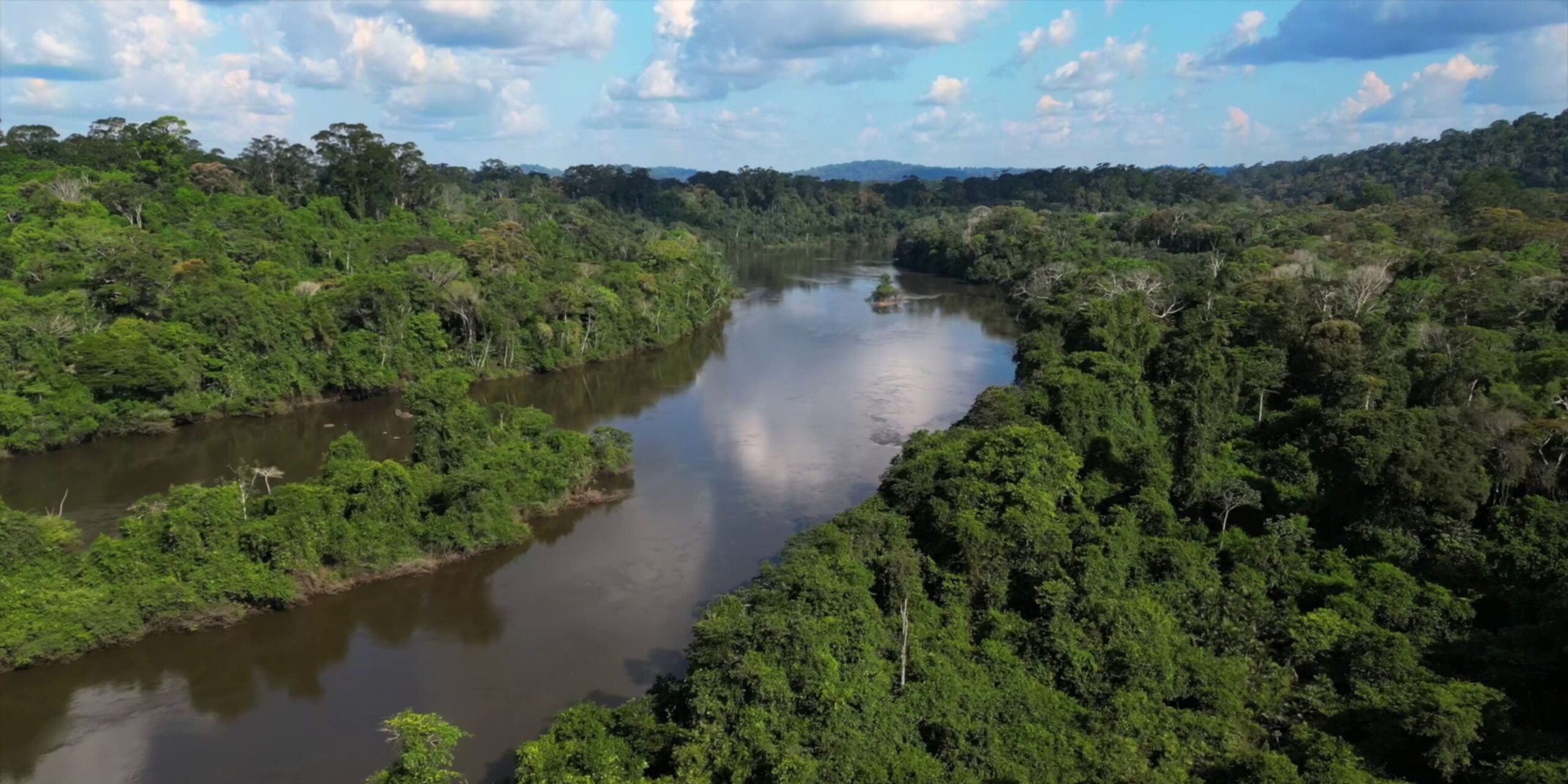 Amazonies: Un Viaje Inmersivo A La Selva En El Musée Des Confluences De ...